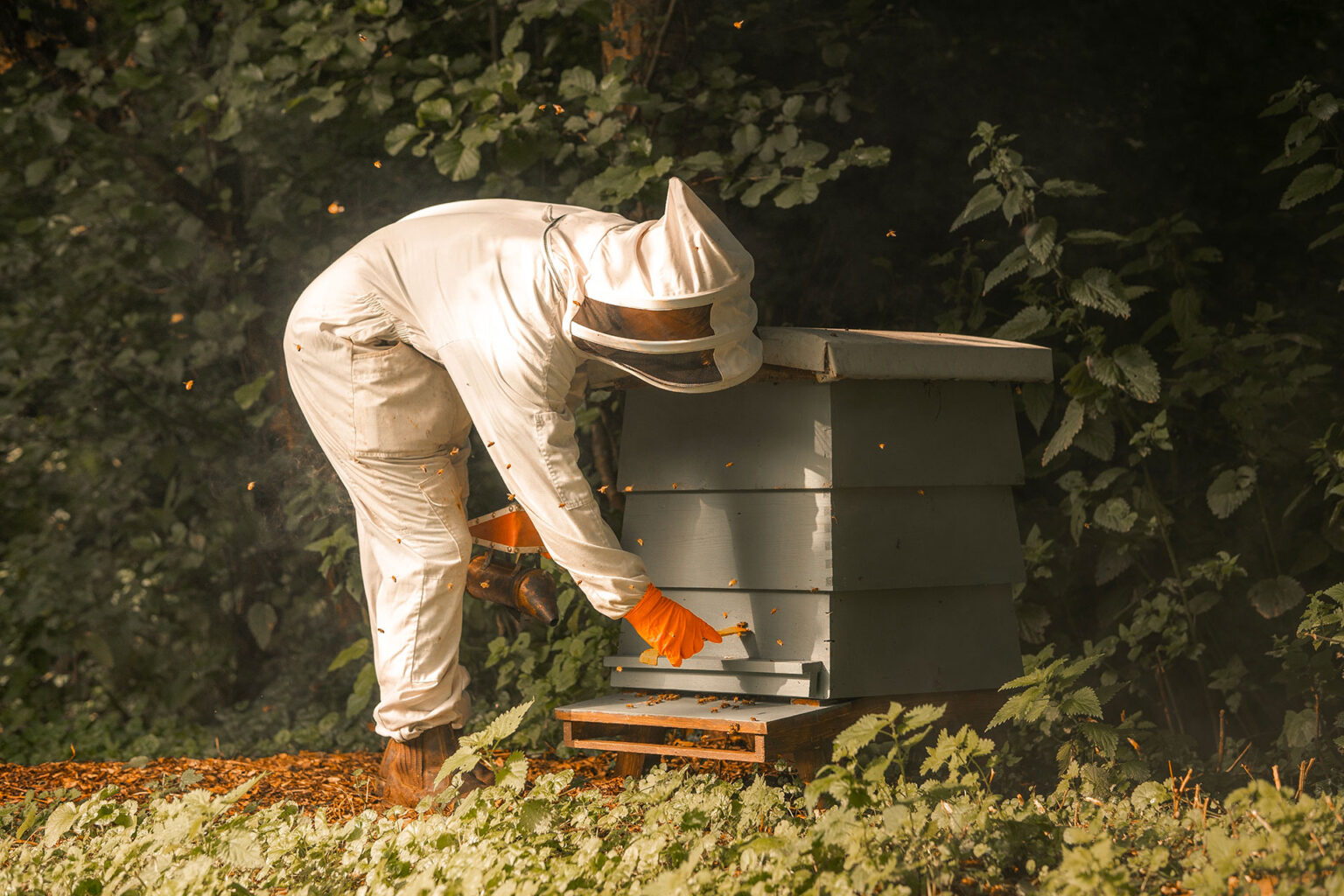 STAINLESS STEEL SMOKER complete with protective cover - Ø 100 mm ...
